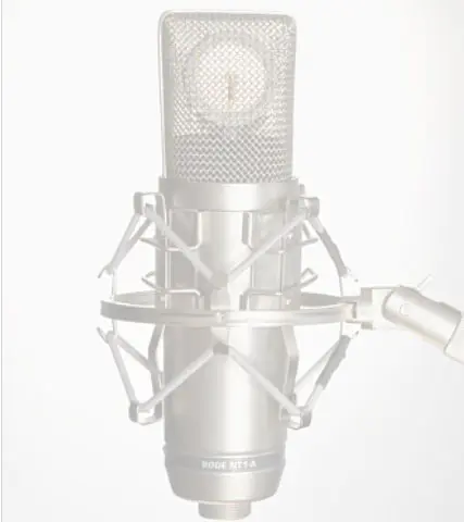 Your Rode NT1 Sounding Like A U87? | Delicious Audio