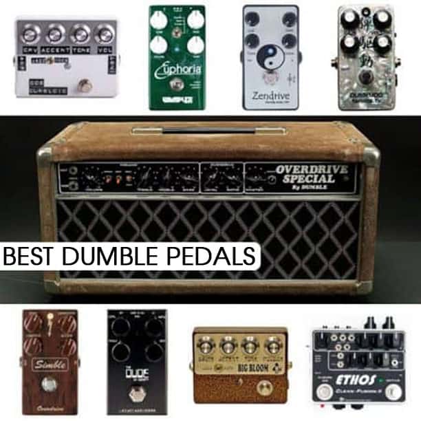 The 20 Best Dumble Pedals (or D-Style Overdrives) To Buy In 2021 ...