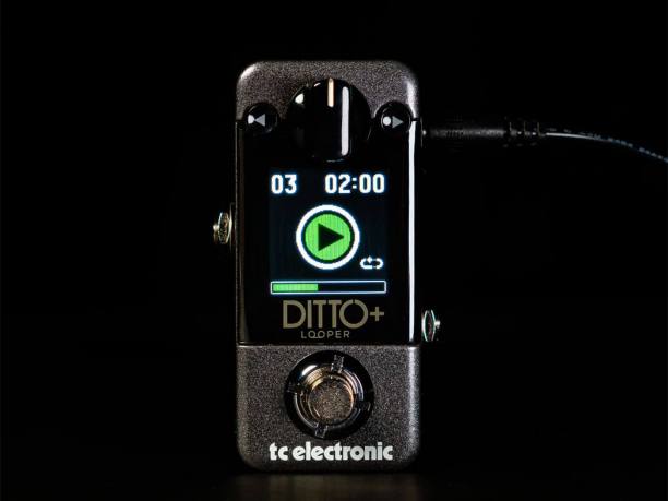 TC Electronic Ditto+Looper | Delicious Audio