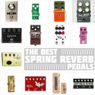 Best Spring Reverb Pedals In 2023 | Analog & Digital | Delicious Audio