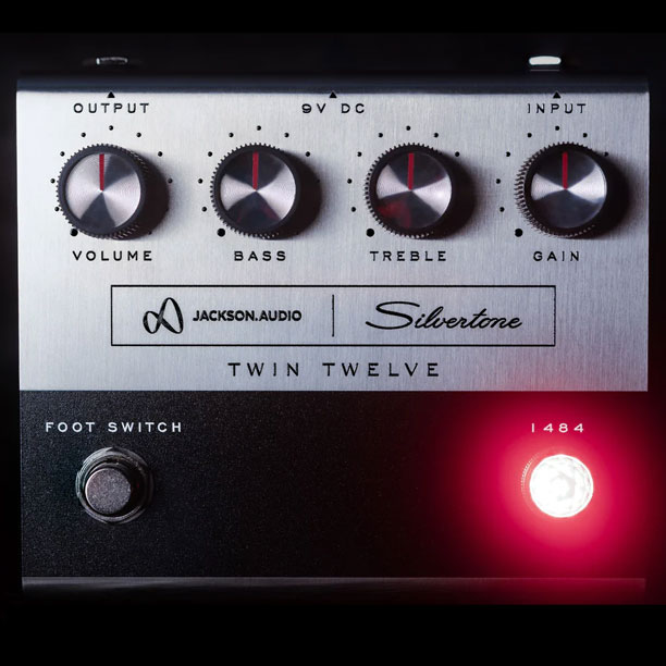 Silvertone & Jackson Audio 1484 Twin Twelve | Delicious Audio